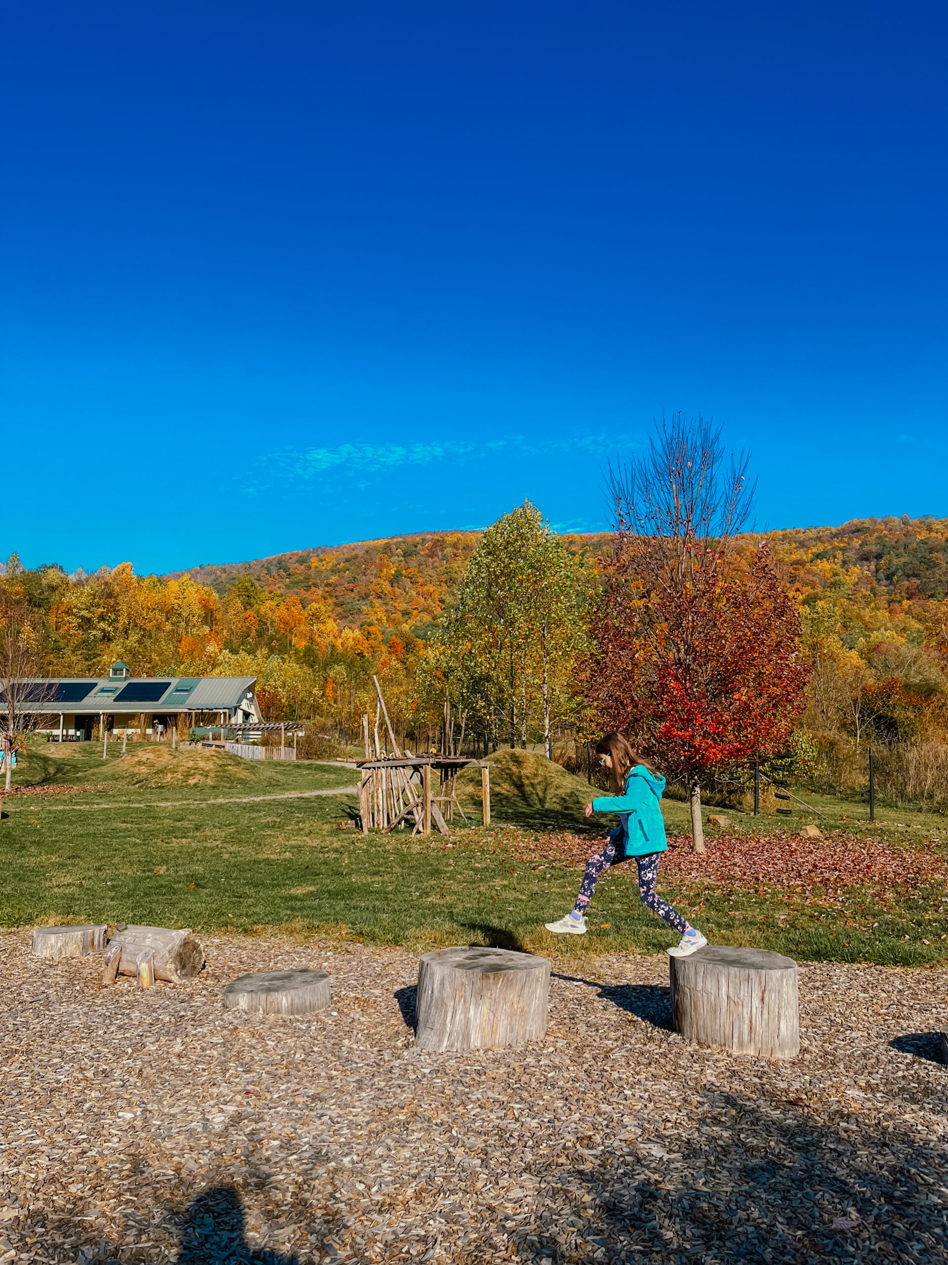 Things to do in Charlottesville with kids - Leah OConnell