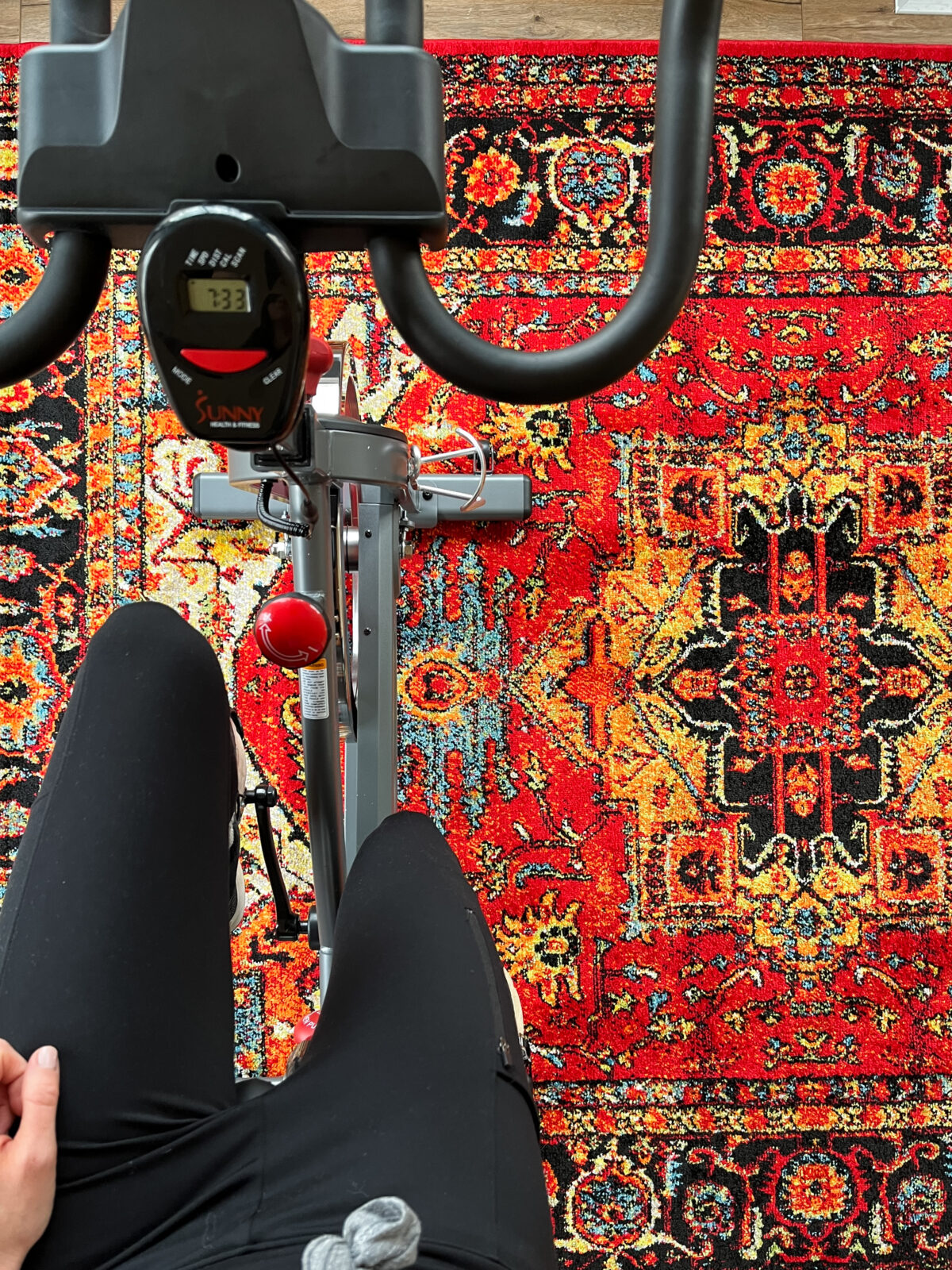 Top 10 Discoveries of 2023 - Leah OConnell