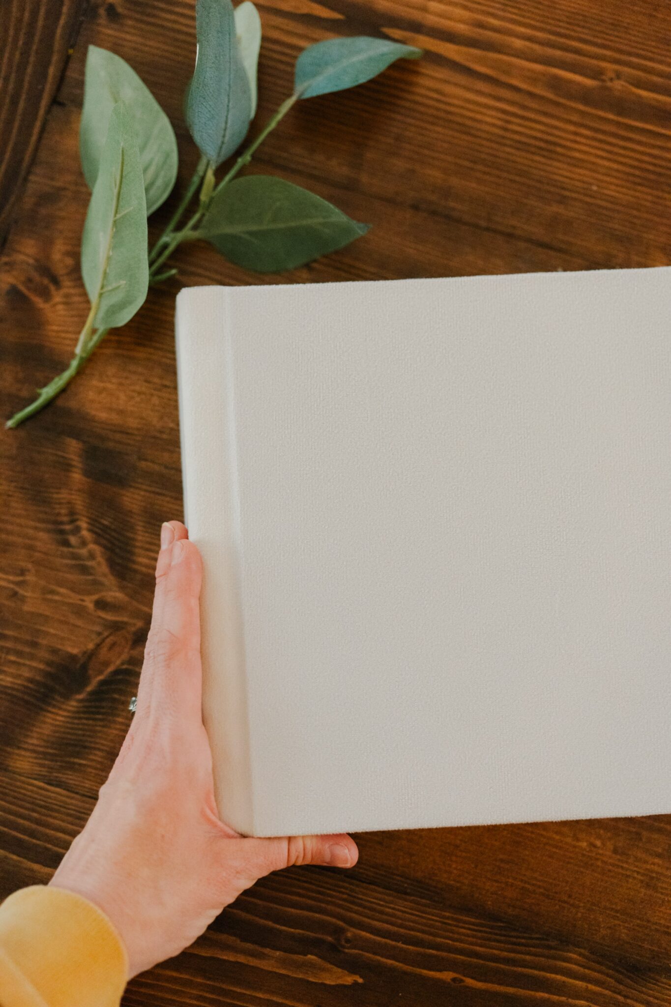 History of Pricing Part II: Growing a business and babies, my biggest ...